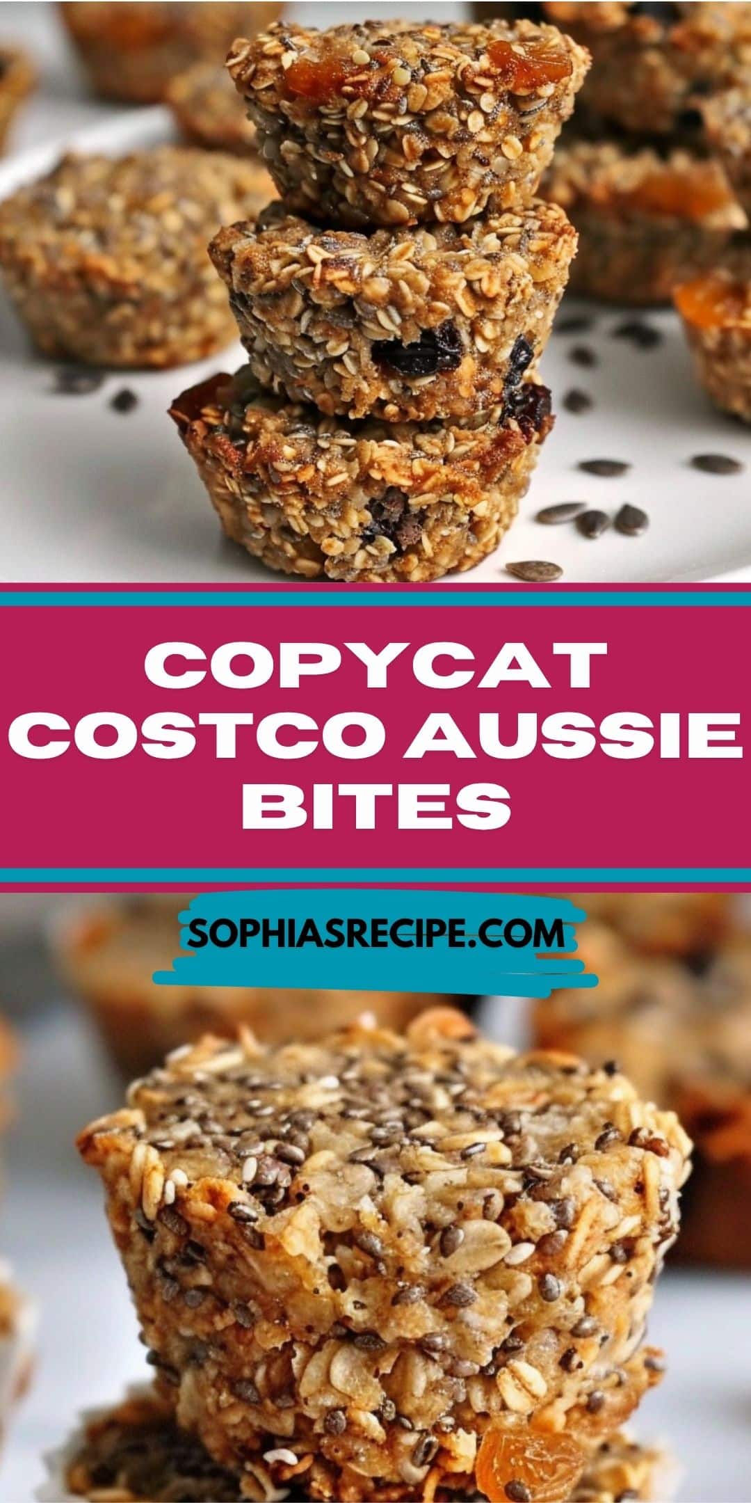 Copycat Costco Aussie Bites | Sophia's Recipe
